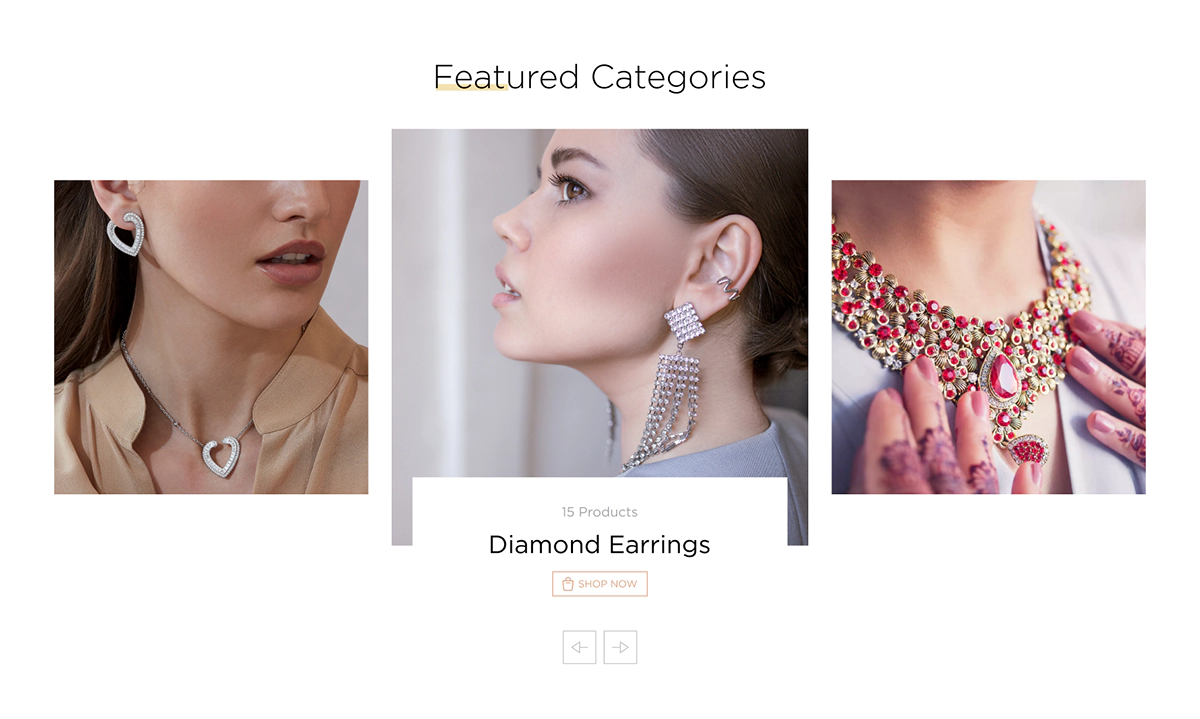 Lily Responsive Theme + Bundle Plugins by nopStation - nopCommerce